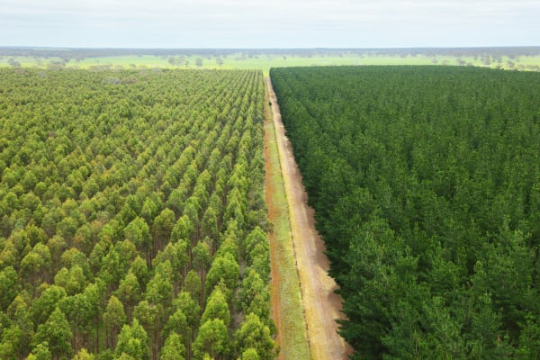 Timberlink Achieves Dual Environmental Certifications - Timberlink ...