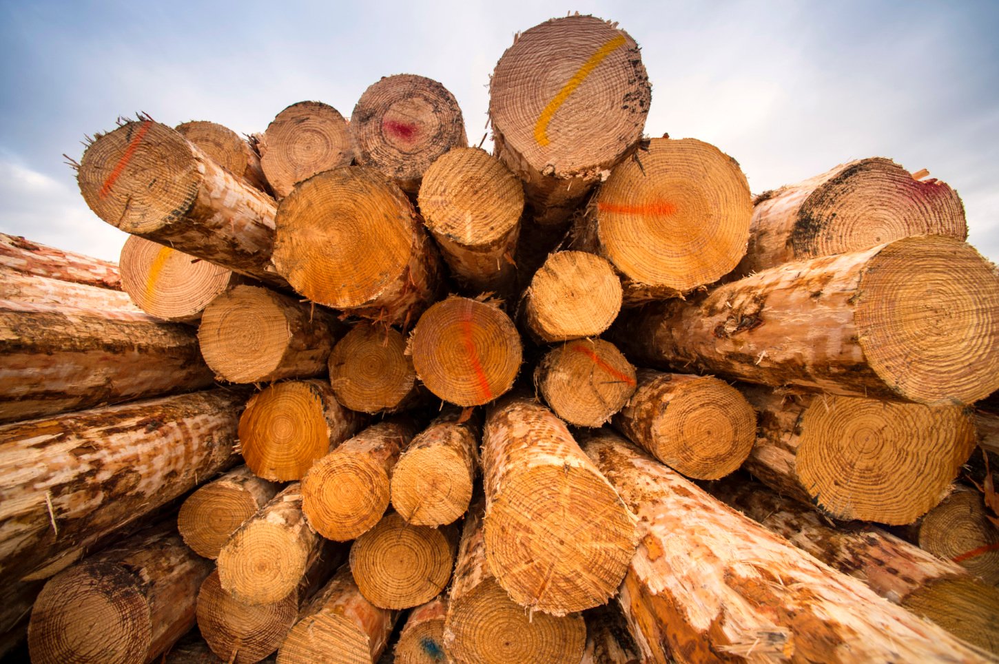 Industry Links - Timberlink Australia